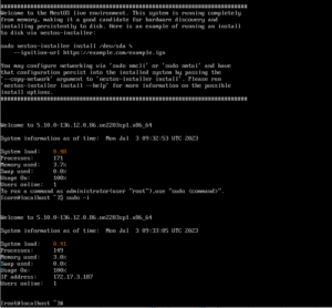 Тестирование контейнерной ОС на основе кодовой базы openEuler / OpenScaler – openScaler.ru